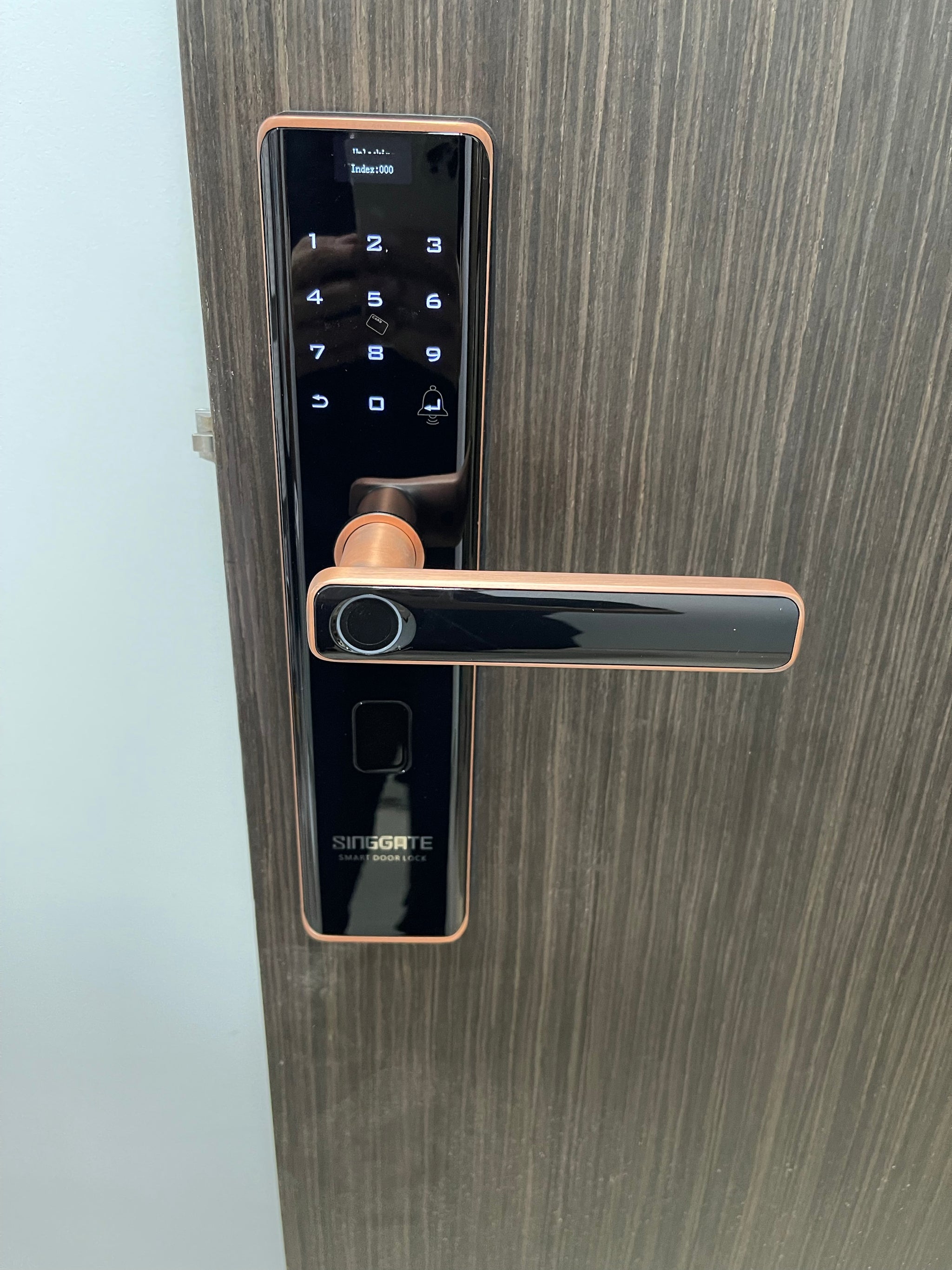 FS012 Pro Smart Sync Digital Door Lock – SINGGATE Digital Lock